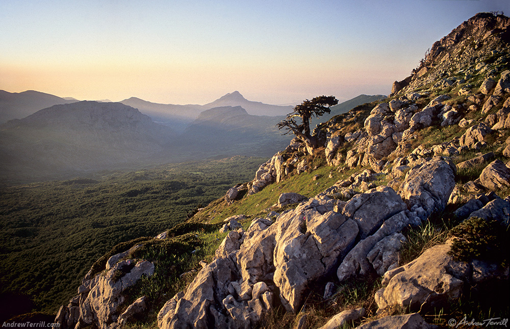 Walking the Wild Places: An Interview with Andrew Terrill – Talking ...